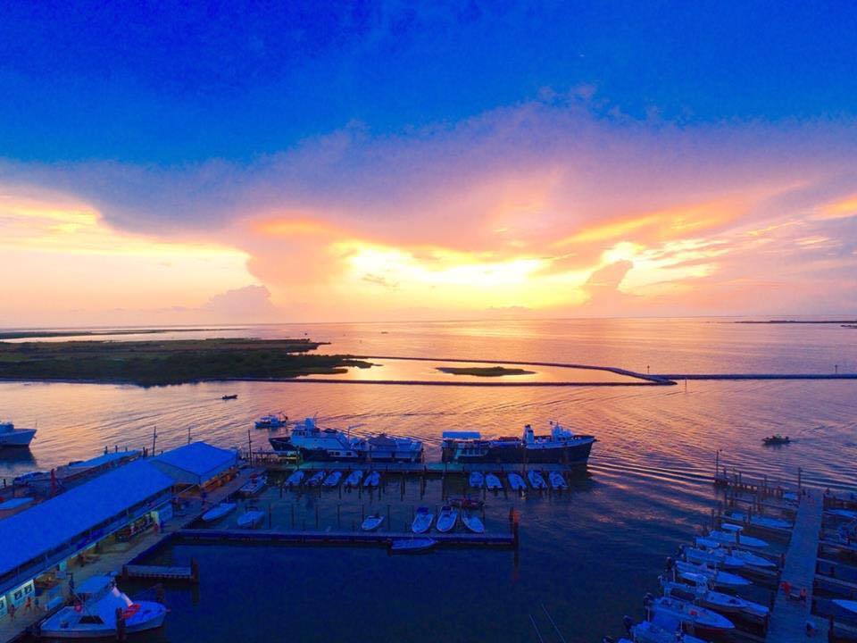 Rodeo Details - Blue Boot Rodeo